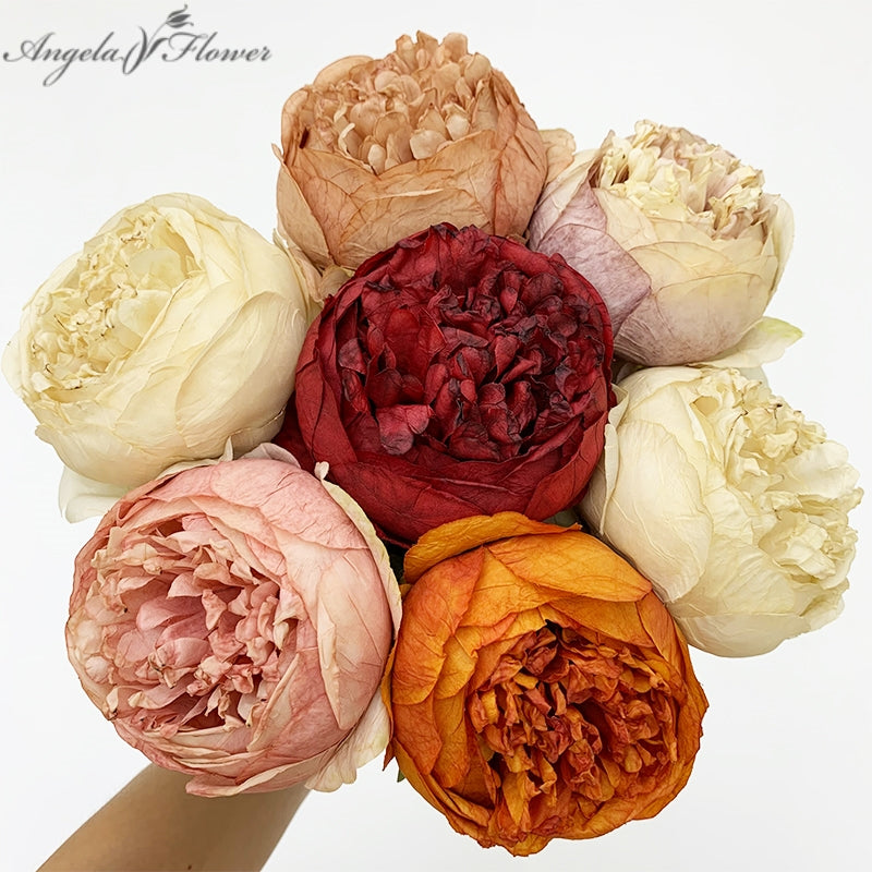 Angela Flower 20 Piece/Lot Peony Artificial Flower Wedding Floral ...