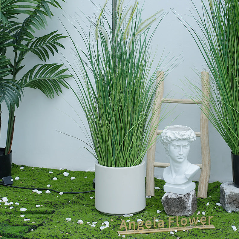 A2027115+2027113 Plants Grass With Pink White Reeds Bonsai Green Plant